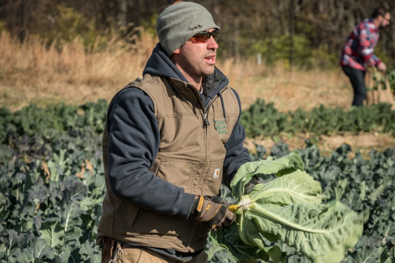 Fundraiser by Kristin Protas : Fund A Permanent Home for My Farm