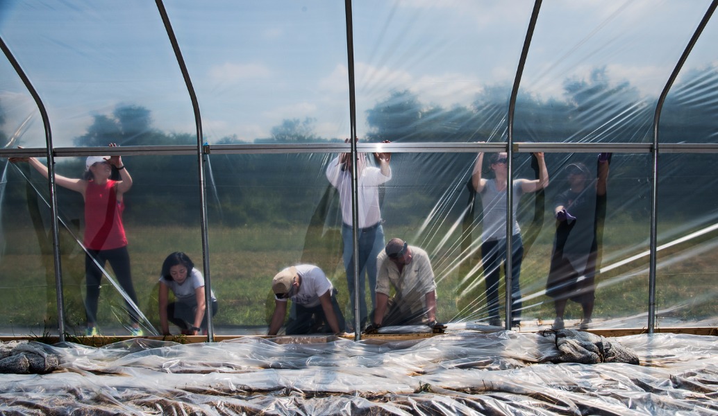 Fundraiser by Kristin Protas : Fund A Permanent Home for My Farm