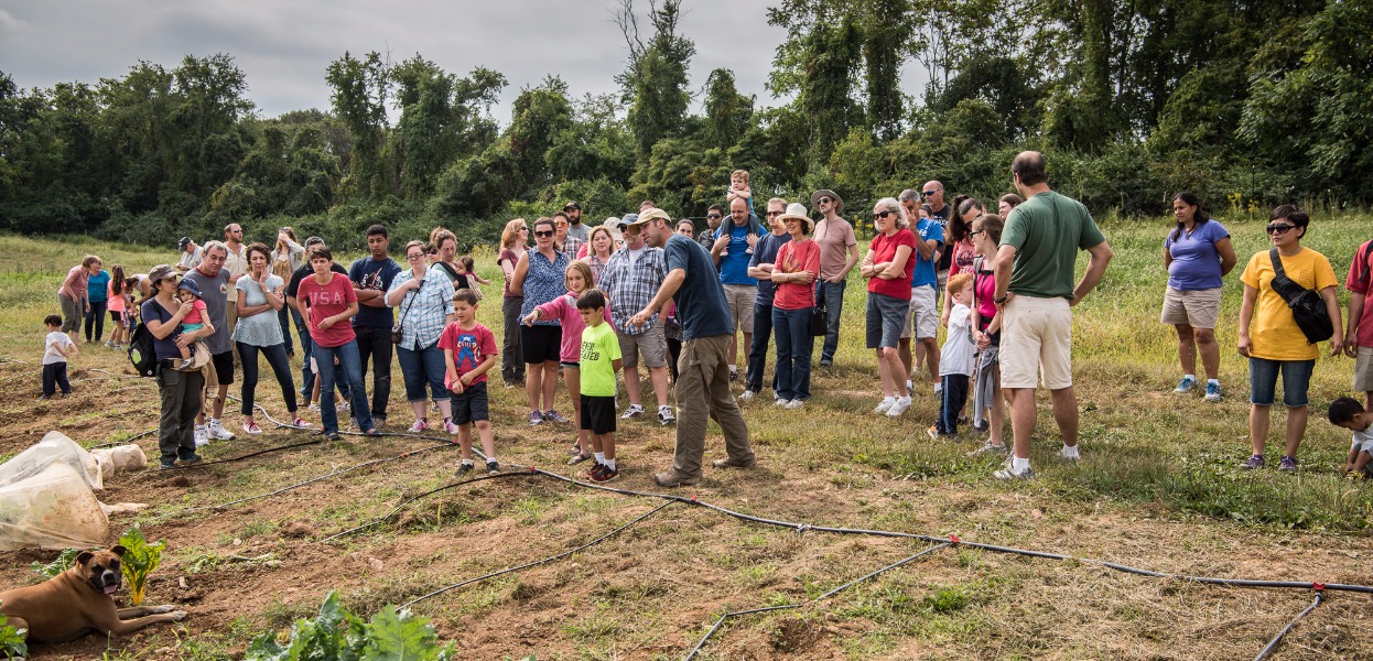 Fundraiser by Kristin Protas : Fund A Permanent Home for My Farm