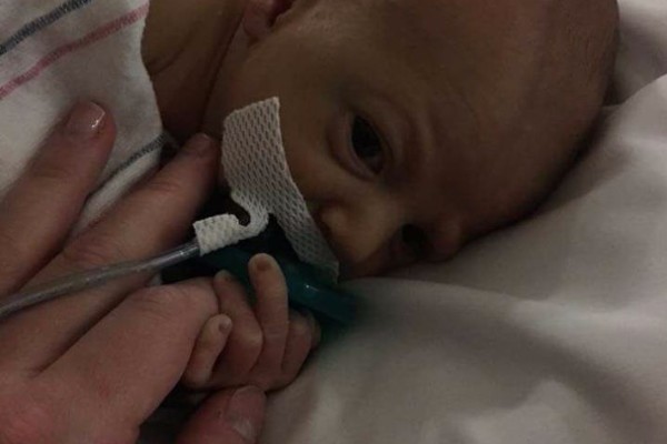 Fundraiser for Hayden Woodruff by Lori Daniel : Blessings For Brett