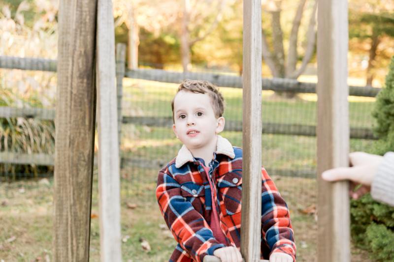 Fundraiser for Laurel Oliver-Gilmore by Megan Isaac Murphy : 4 PAWS FOR ...