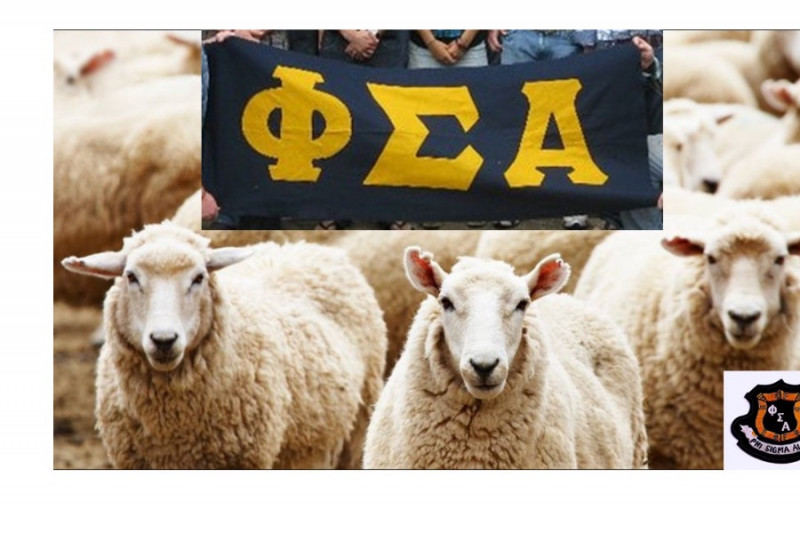 Fundraiser by Drew Bicknell : Phi Sigma Alpha Donations