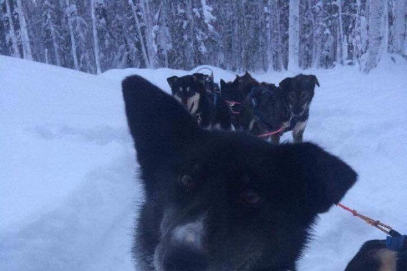 Fundraiser by Tim Lebling : Jimmy on the Quest!