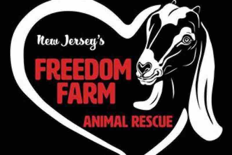 Fundraiser by Jamie Castano : Freedom Farm Desperately Needs You