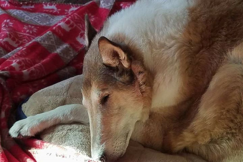 Fundraiser for Shirley Schaffer by Kris Repp : Shirley Schaffer House ...