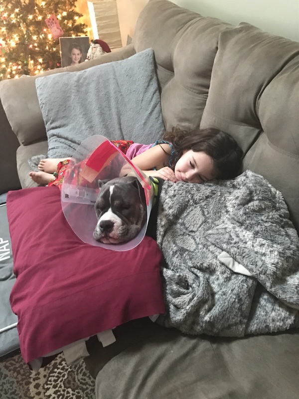 Fundraiser by Sarah Pulcini : Wentz' s Entropion Surgery