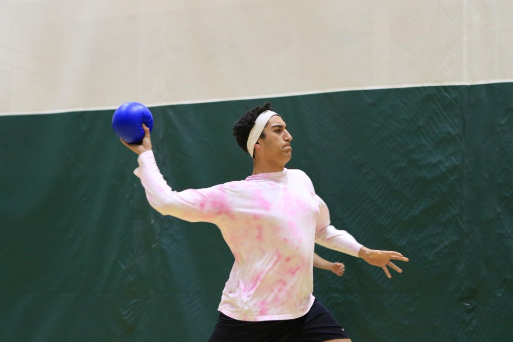 Fundraiser by Juliane Alfen : NHS Charity Dodgeball Tournament