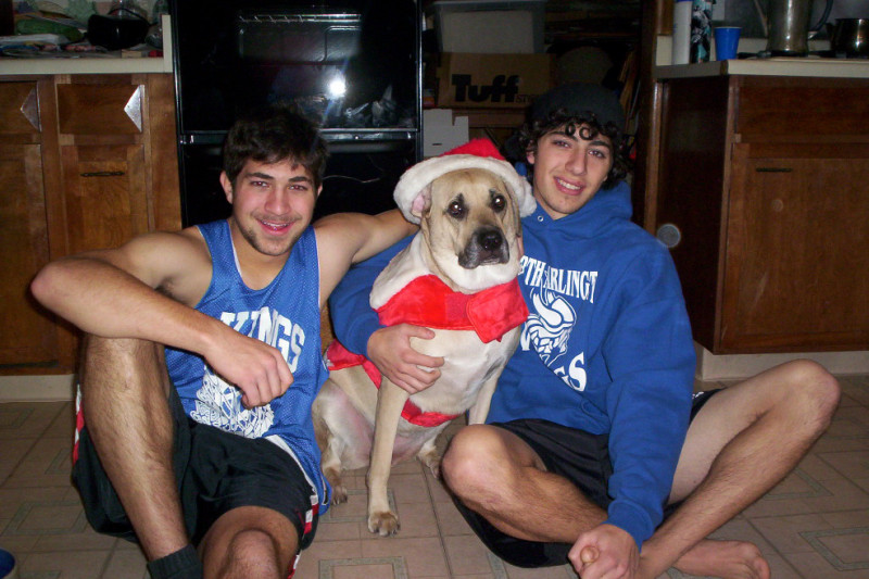 Fundraiser by Anthony Iavarone : Help Lily Beat Cancer!