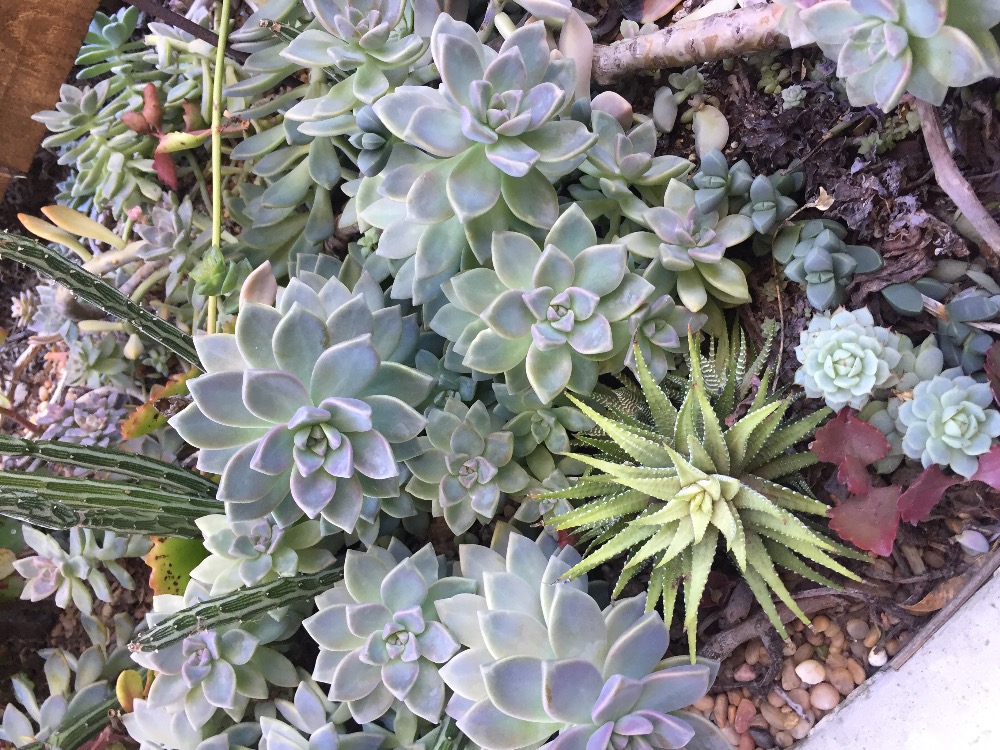 Fundraiser for Jamie Correia by Elizabeth Beary : Celebration of Jake's ...