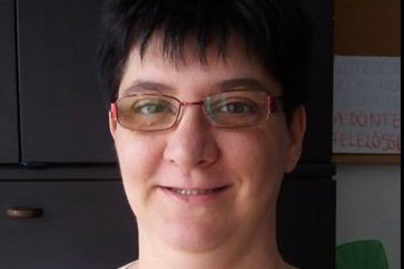 Fundraiser by Diana Rader Zisselman : Help her smile again