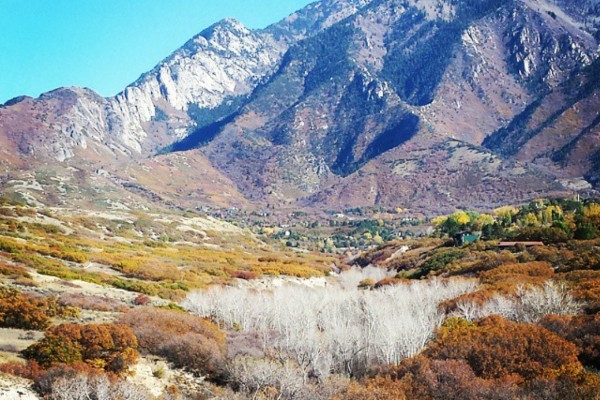 Fundraiser by Sierra Engle : Dimple Dell Preservation Community