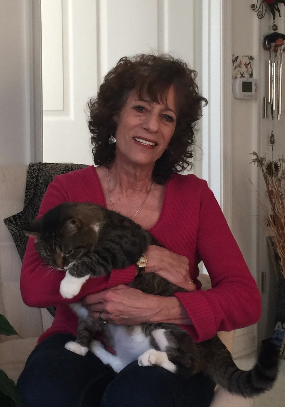 Fundraiser by Carol Zito Dailey : Saving Scooch