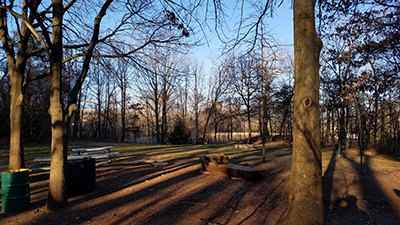 Fundraiser for Malia Davis by Sarah Higgins (Admin) : Children's Museum ...