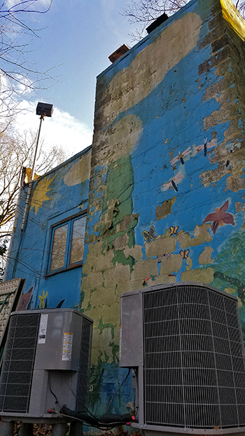 Fundraiser for Malia Davis by Sarah Higgins (Admin) : Children's Museum ...