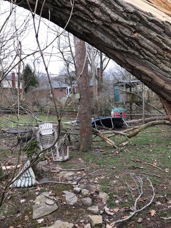 Fundraiser for Sylvia Elam by Brandon Elam : Elam's Rebuilding Fund