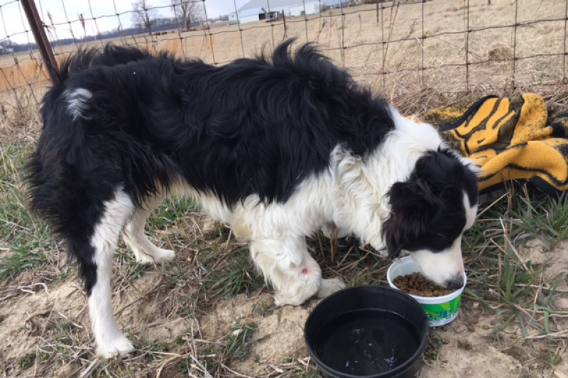 Fundraiser for Tracy Lawyer by Julie Rinker Mitchell : Help for ...