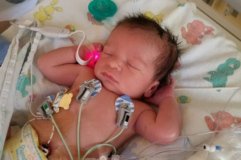 Fundraiser for Sarah Ann by Leah Corey : Baby Bronson's HLHS Heart Fund
