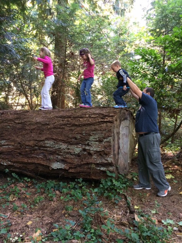 Fundraiser for Tracy Fisher-Bouchard by Kim Morgan : Fly 3 Kids & Mom ...