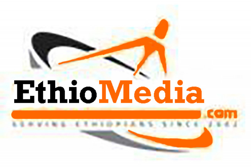 Fundraiser by Abraha Belai : Promote Ethiomedia