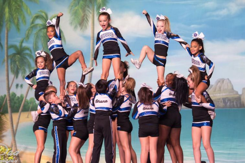 Fundraiser for Florida Top Dog Allstars by Mary Ann Jones : TD Freeze ...