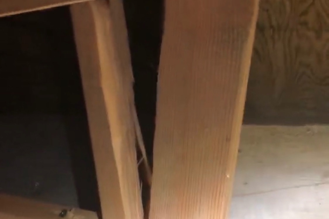 Fundraiser for Travis Webb by Jordan Webb : Alaskan Family Recover From ...