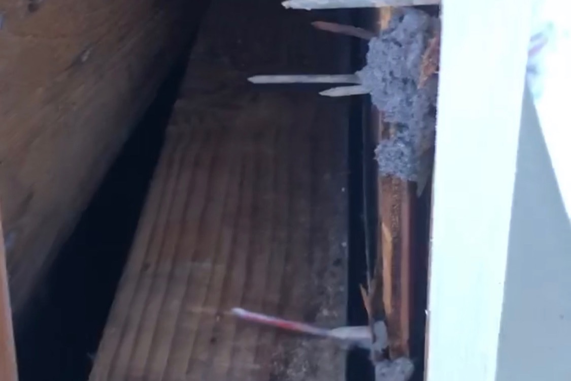 Fundraiser for Travis Webb by Jordan Webb : Alaskan Family Recover From ...