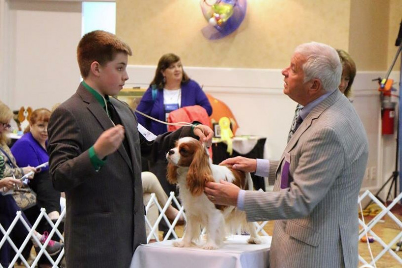 Fundraiser by Zoelea Jones Vey : Move Matthew and Maryln!