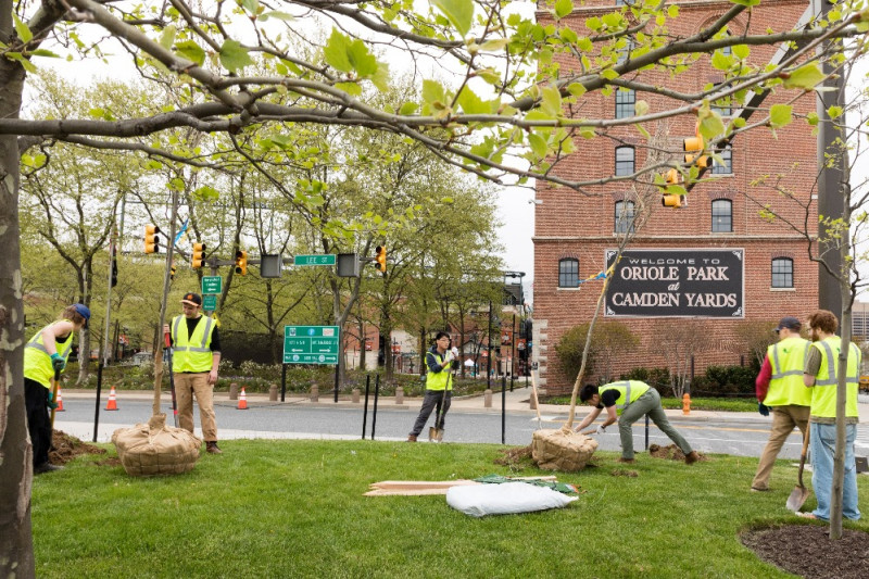 Fundraiser by Mark Conway : Baltimore's Arbor Day