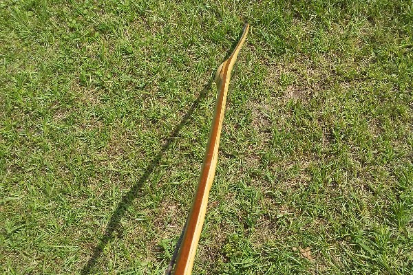 Fundraiser by Dave Ruff : Stickbow / dave ruff