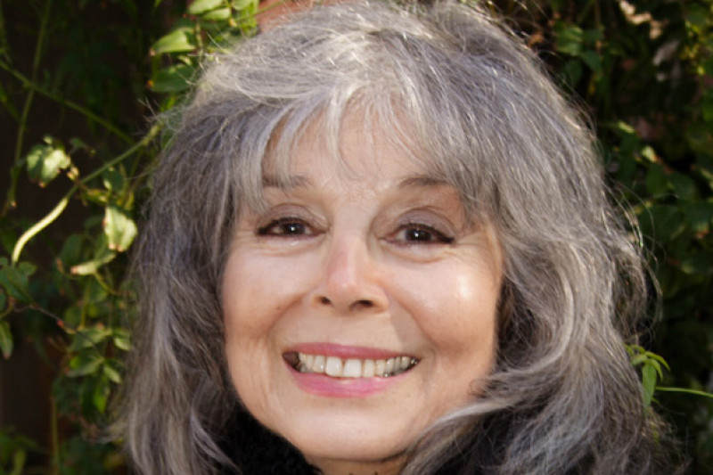 Fundraiser by Lucille Montague : Family in Crisis