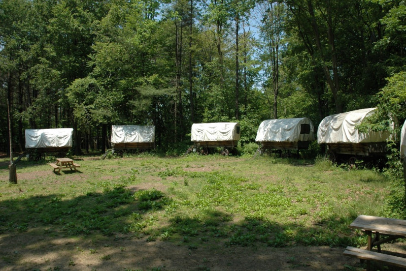 Fundraiser for Michelle Taylor by Richard Bain : Help Restore Camp Sylvan