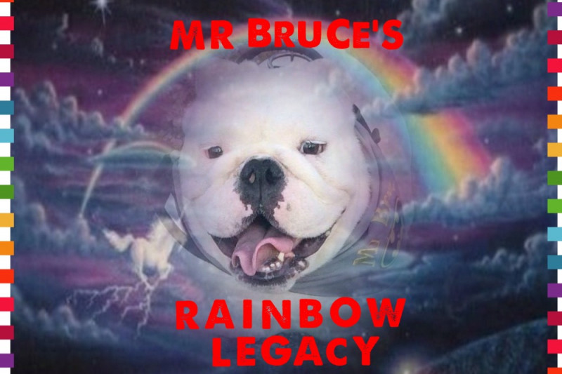 Fundraiser by Ju O'Neill : Mr Bruce's Rainbow Legacy