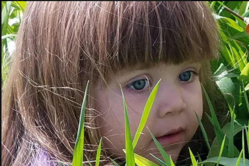 Fundraiser for Kassandra Harper by Ashley Smith : Wendilyns Memorial Fund