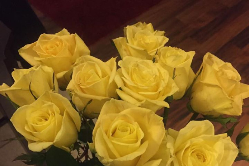Fundraiser by Erica Humphrey : Funeral Expenses