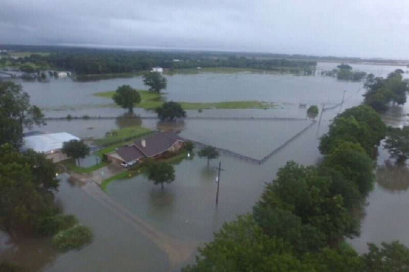 Fundraiser by FloWorks International : Flood Relief - FloWorks Employees