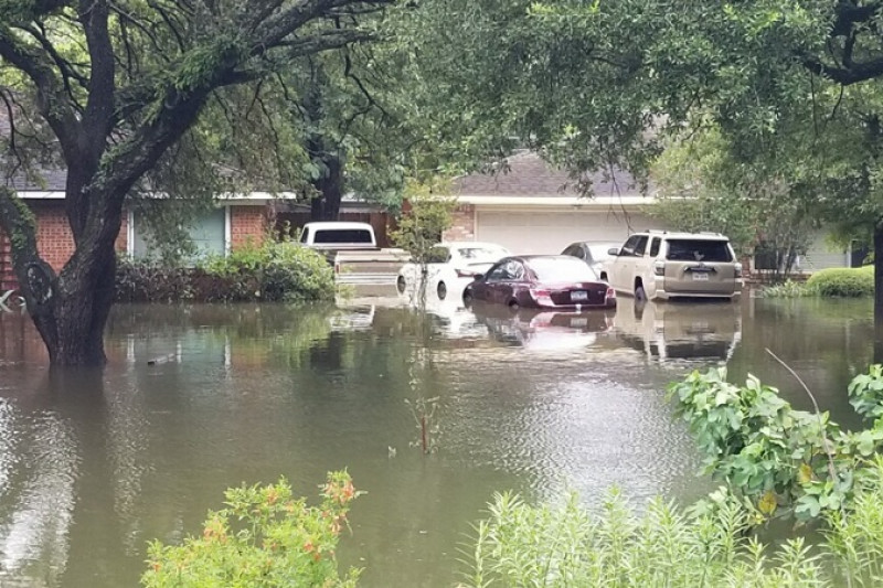 Fundraiser for Rose Mikulski by Jasmine Joy : Help Rose Recover from Harvey