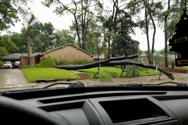 Fundraiser for Michael McClure by Marilyn Colman : "There but for the ...