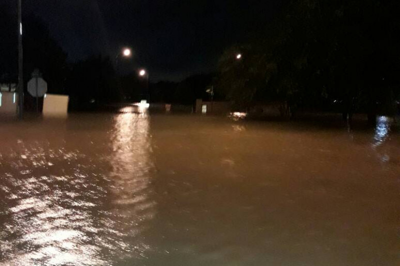 Fundraiser for Johnson Yap by Jesselyn Toufar : Mom and Dad Yap Houston ...