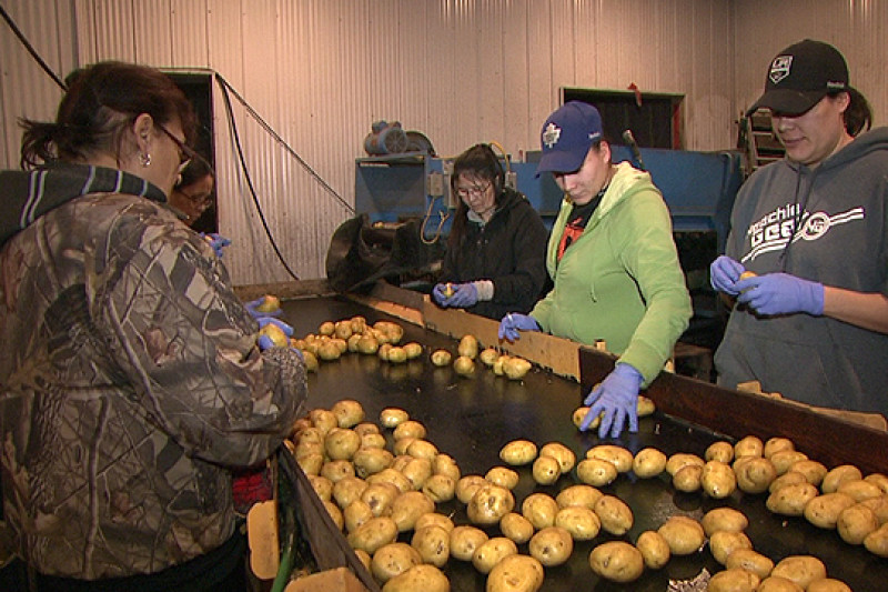 Fundraiser by Paul Hanley : CREATING FIRST NATIONS JOBS GROWING