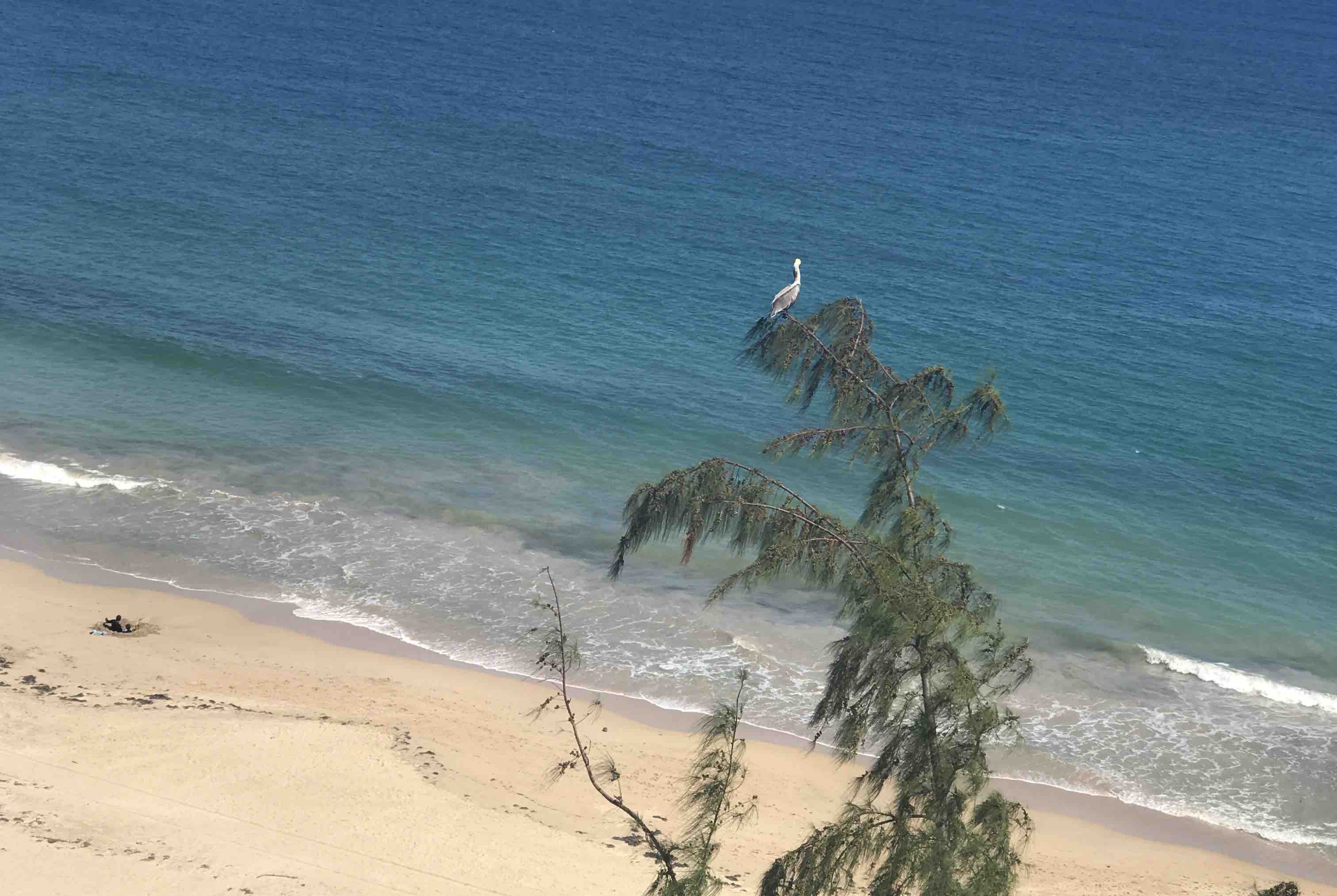 Fundraiser by Isabel Curran : TRANQUILO PUERTO RICO! Keep Calm PR