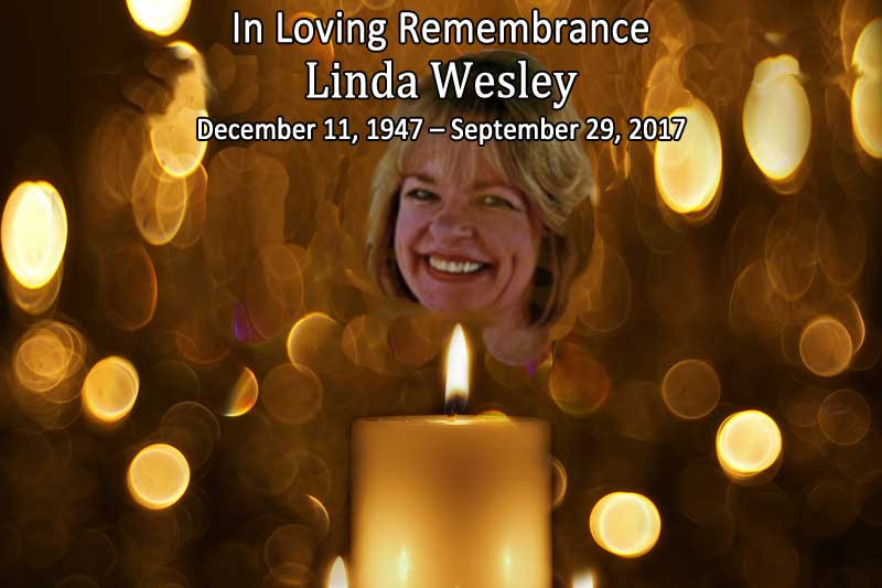 Fundraiser for Madison Wesley by Dianne McKenzie : Linda Beloved ...