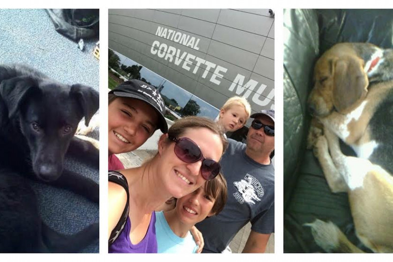 Fundraiser for Doni Muzzy by Ashleigh Lydia Rose : Langdon Family Fire ...