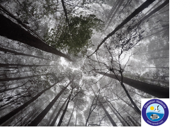 Fundraiser by Kai Rawnsley : Research Expedition to Honduras