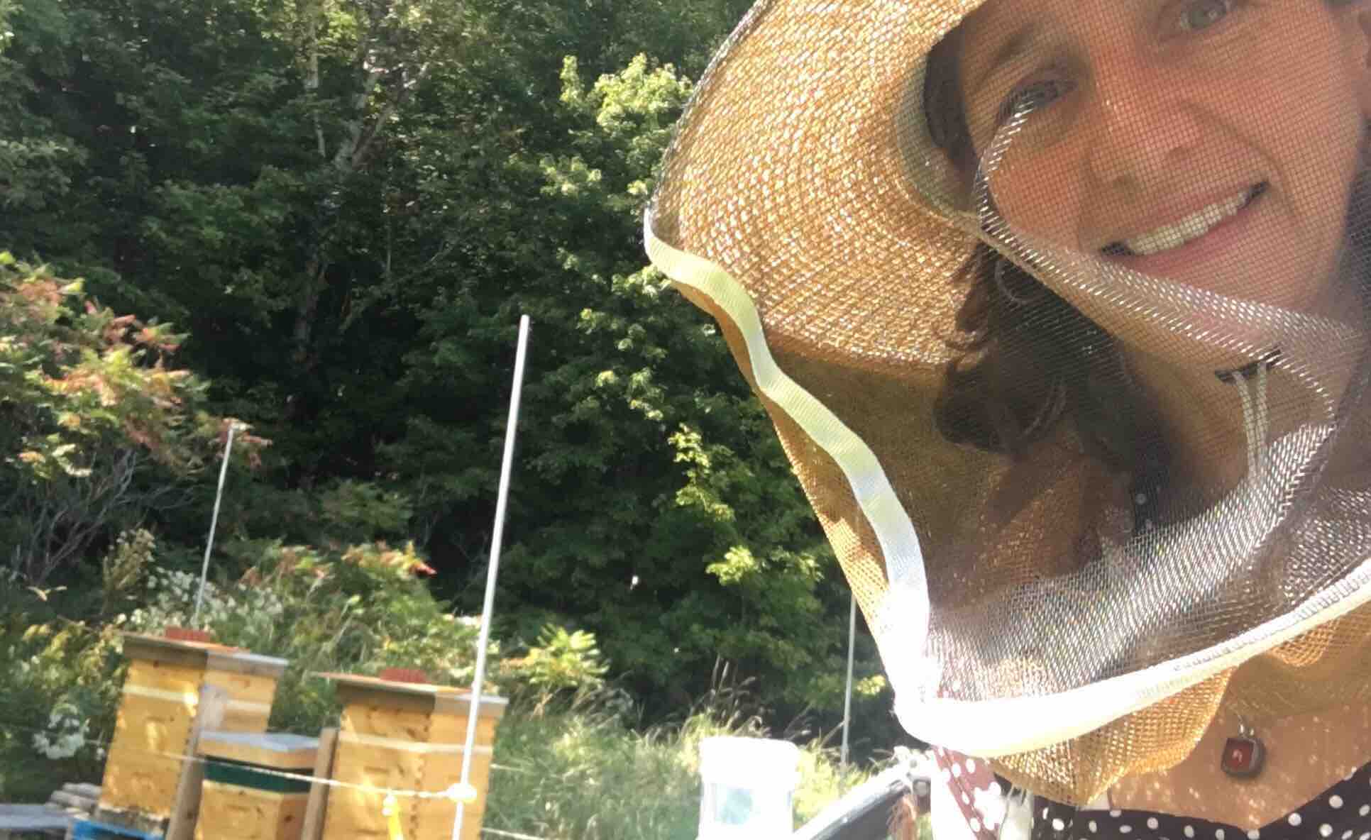 Fundraiser by Tara Ayer : Tara Bee Dreaming of Back to School