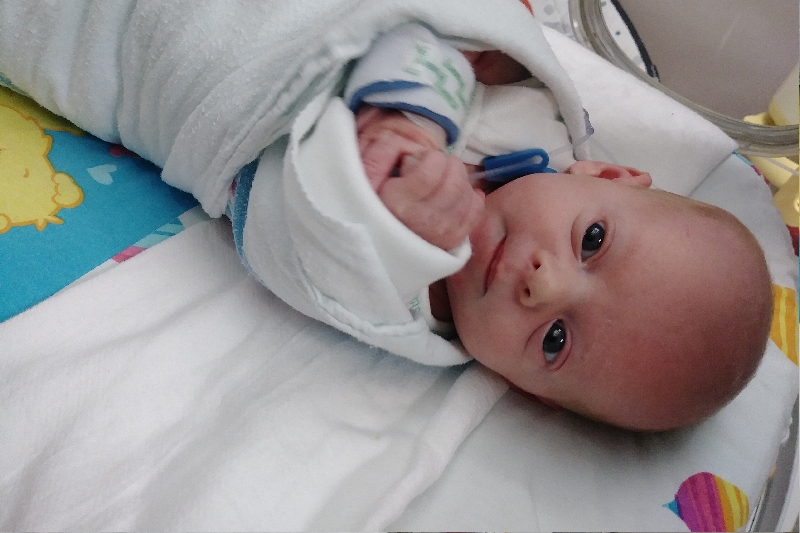 Fundraiser for Shane Cholewa by Desire Robart : *fundraising for Autumn*