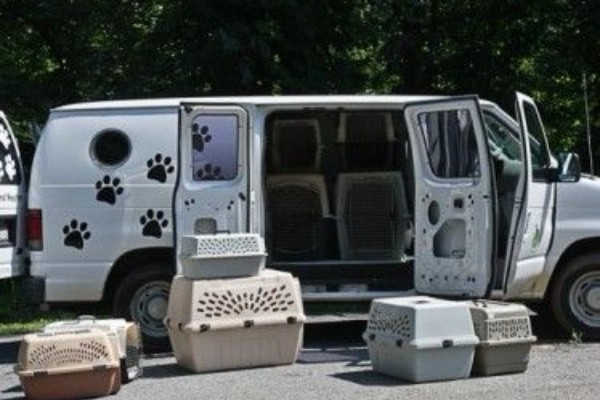 Fundraiser by Brittany Higgins : Animal Rescue Van
