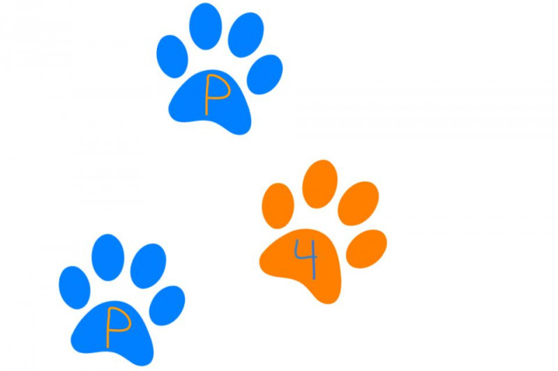 Fundraiser by Bails Herrera : Pathway Fur Paws