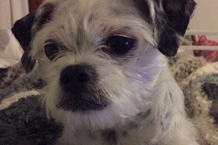 Fundraiser for Terrence Dineen by Deryn Copeland : Save Terrence's Best ...