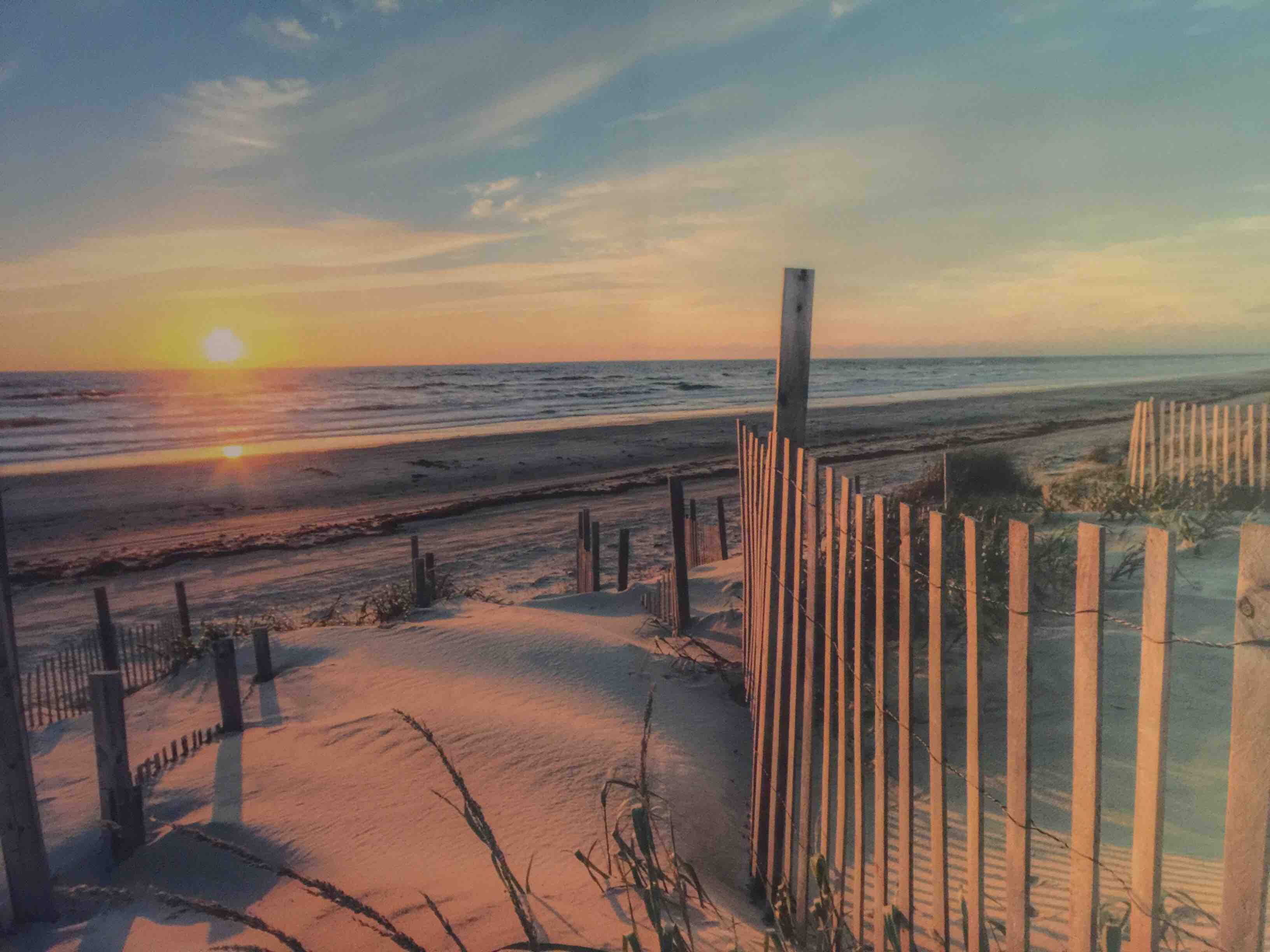 Fundraiser for Gavin Mackie by Martin Hegg : Sharon Mackie