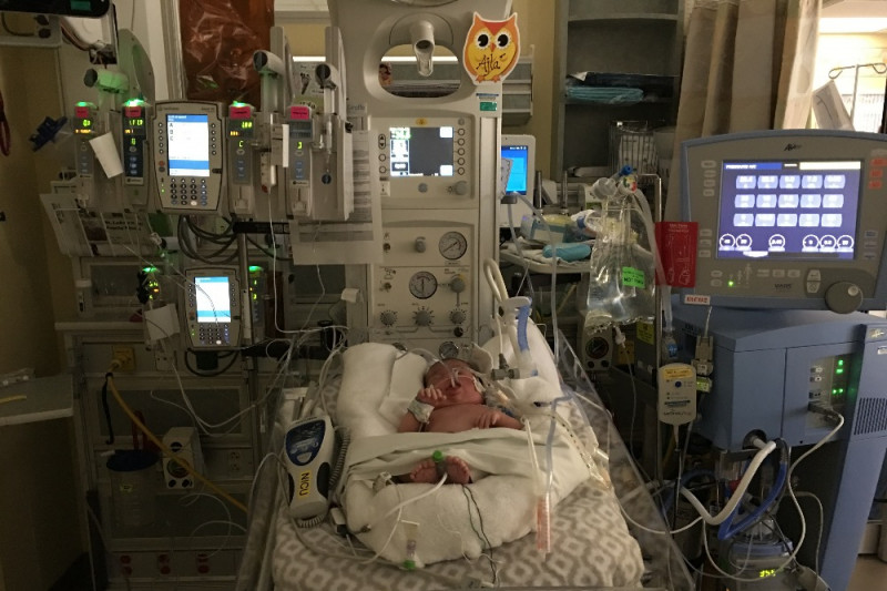 Fundraiser by Taylor Badzic : Cuddle Cot in Honor of Ajla